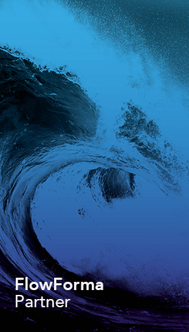 Business Process Management Partners